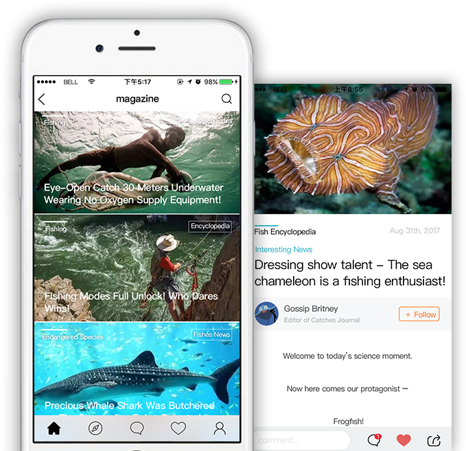 渔获-潮汐天气,钓鱼技巧,鱼类百科,钓鱼视频,钓鱼人必备神器